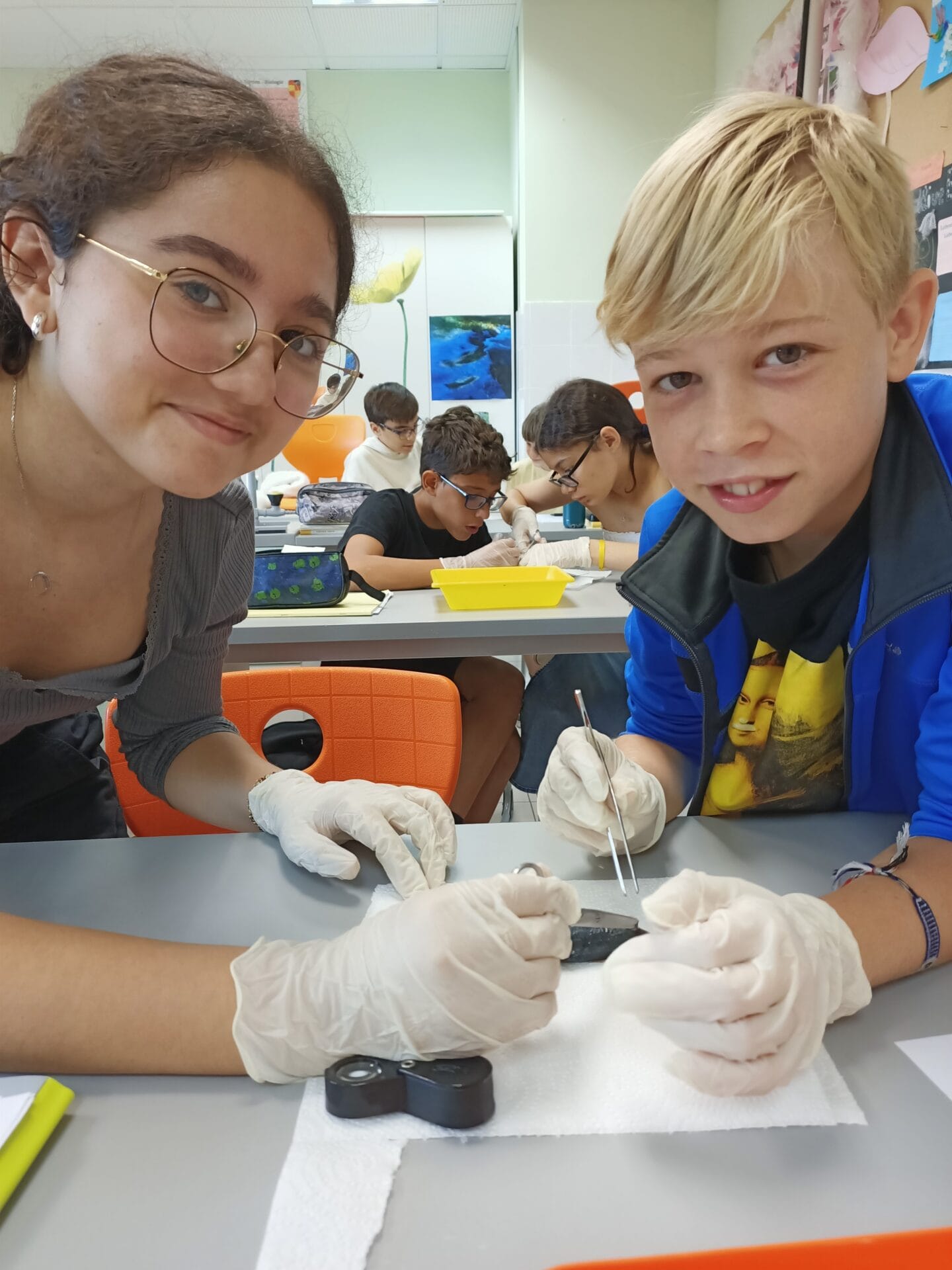 Biologie – Wir sezieren einen Fisch – Deutsche Schule – Colegio Alemán